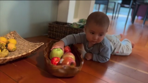 Nutri-Steamer – Malana's Kitchen